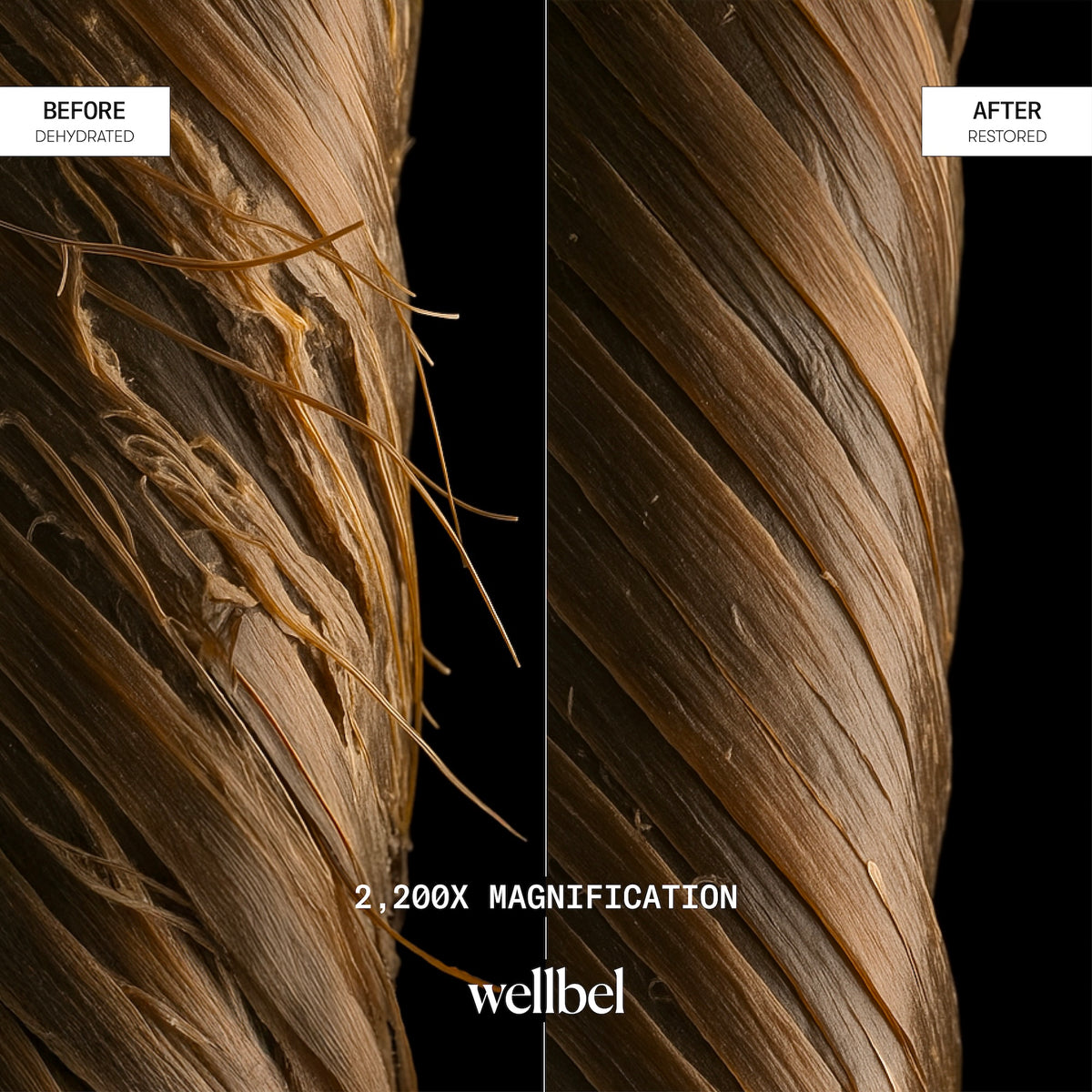 Wellbel Before And After